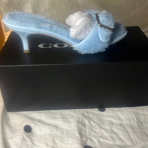 Coach | Shoes | Womens Coach Shearling Buckle Mules Baby Blue 85 M ...